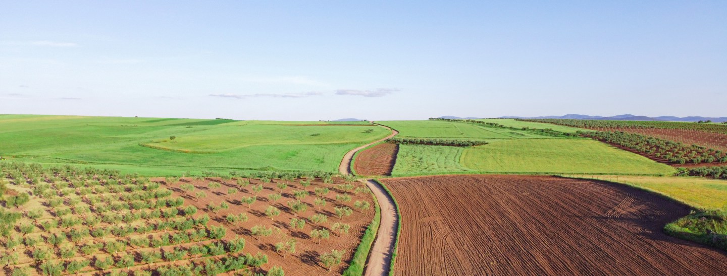 1 hectare en m2 : combien ça fait ? – Le-blog-de-la-maison.org